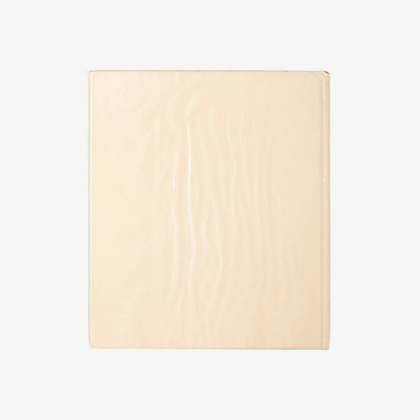 Anne Leibowitz: Photographs - PAST AND PRESENT